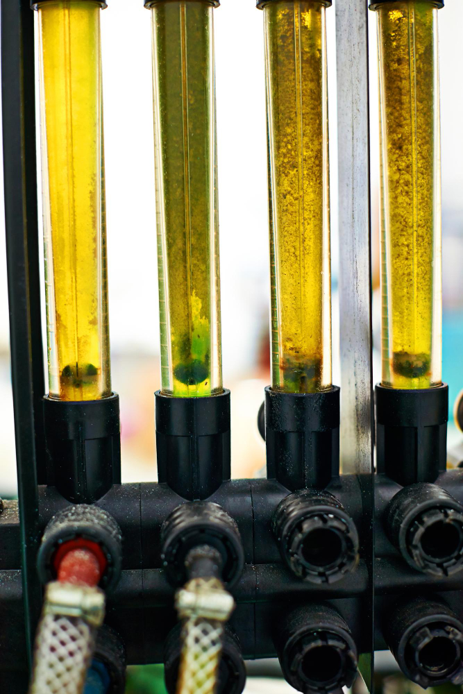 Polymer Rheology and Processing for Oilfield Applications